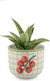Porcelánový ručně malovaný obal na květináč ø 12 cm Tomato – Sass &amp; Belle