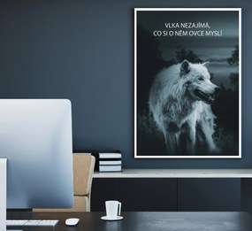 Pixada a wolf doesn't care about the opinion of sheep - motivační obraz Velikost: A3 - 29,7x42 cm, Volba rámu: s černým rámem, Jazyk: Čeština