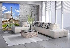 DIMEX | Vliesová fototapeta na zeď Paříž MS-2-0025  | 150 x 250 cm | modrá, šedá, bílá, zelená