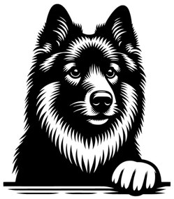 Samolepka pes Norský elkhound