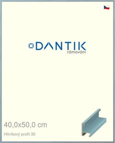 DANTIK rámeček 40x50 | ALU profil 6030 Dýha barevná modrá pastel (Plexi Čiré)