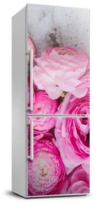 Wallmuralia Nálepka fototapeta na ledničku Růžové jaskry 60x180 cm