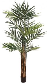Umělá květina - Kentia palma, 300cm