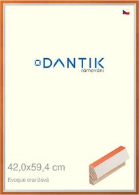 DANTIK rámeček 42x59,4 | EVOQUE oranžová (Plexi Čiré)