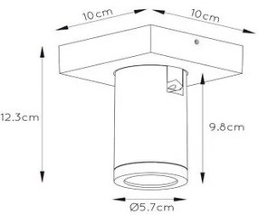 Lucide 09930/05/31 - LED Stmívatelné bodové svítidlo TAYLOR 1xGU10/5W/230V IP44