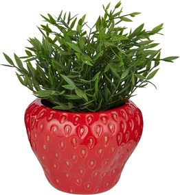 Butlers STRAWBERRY Květináč 17 cm