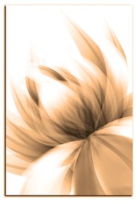 Obraz na plátně - Elegantní květ - obdélník 7147FA (120x80 cm)