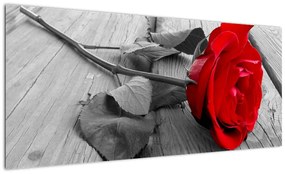 Obraz růže s červeným květem (100x40cm)