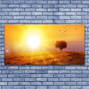 Plexisklo-obraz Západ Slunce Louka Plátky 120x60 cm