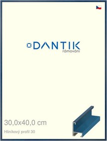 DANTIK rámeček 30x40 | ALU profil 6030 Dýha barevná modrá královská (Plexi Čiré)