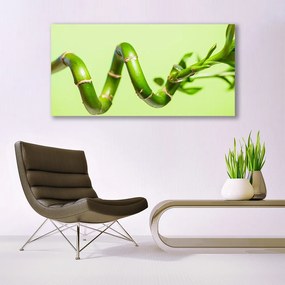 akrylový obraz Bambus Rostlina Příroda 120x60 cm