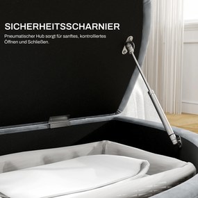 HOMCOM Lavice s úložným prostorem a otevřeným víkem, čalouněná lavice z materiálu Velvet-Touch, kaučukovník, tmavě šedá, 120x46x42cm do ložnice a pře…