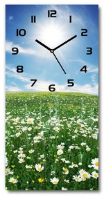 Wallmuralia Moderní hodiny nástěnné Louka 30x60 cm