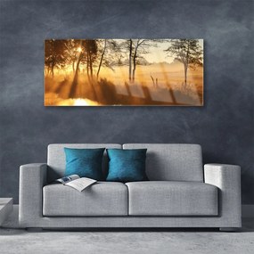 akrylový obraz Stromy Příroda 125x50 cm
