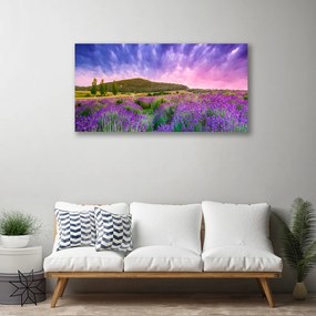 Obraz na plátně Louka Květiny Hory Příroda 140x70 cm