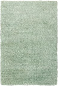 Zelený  koberec Zappa Green Rozměry: 160x230 cm