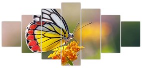 Obraz motýla na květu (210x100 cm)
