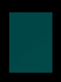 BESCO Spodní skříňka DEXA zelená matná Barva - Zelená, Madla - Černá, Rozměr A - 80 cm, Rozměr B - 50 cm, Rozměr C - 40 cm NASUD854ZC