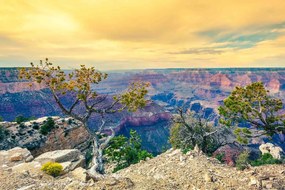 DIMEX | Vliesová fototapeta Ráno v Grand Canyonu MS-5-1645 | 375 x 250 cm| žlutá, oranžová, hnědá