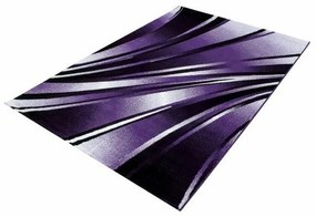 Kusový koberec Parma 9210 lila (Varianta: 200 x 290 cm)