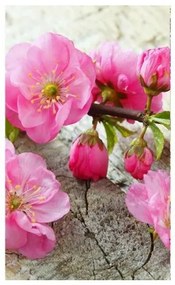 DIMEX | Vliesová fototapeta na zeď Sakura MS-2-0109  | 150 x 250 cm | růžová, zelená, béžová
