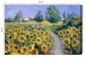 Obraz Krajina Se Slunečnicemi Jako Malovaná Nedostatek Nedostatek Plátno Canvas 40x30