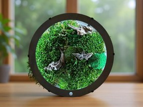 Li-Go "Mechové kopečky s kořeny" dřevěná lampa/obraz s baterií a pohybovým čidlem/černá s patinou velikost svítidla/hodin: 50 cm
