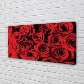 Obrazy na plátně Růže 120x60 cm