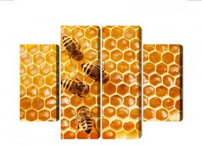 Vícedílný obraz Včely Na Plástev Nedostatek Nedostatek Přírodní plátno 160x120