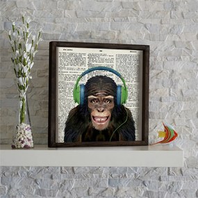 Nástěnný obraz Monkey 34x34 cm III