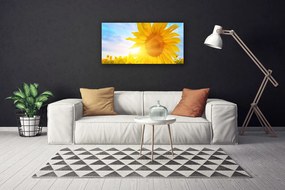 Obraz na plátně Slunečnice Květ Slunce 100x50 cm