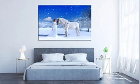 Malvis ® Obraz kůň a dívka Velikost (šířka x výška): 90x60 cm