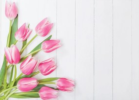 Malvis ® Tapeta Tulipány a bílé dřevo Vel. (šířka x výška): 504 x 310 cm