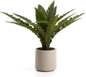 Umělý sukulent (výška 70 cm) Neottopteris – Kave Home