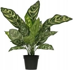 Umělá rostlina Aglaonema, 50 cm, Woood