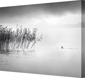 Obraz na plátně By the Lake II
