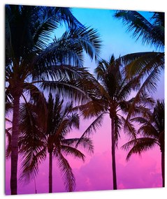 Obraz - Palmy v Miami (30x30 cm)