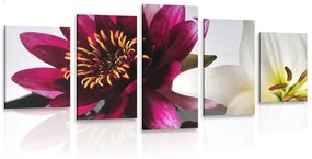 5-dílný obraz květiny v misce Varianta: 100x50