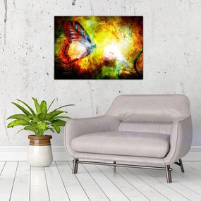 Skleněný obraz - Kosmický motýl (70x50 cm)