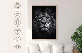 Král savany - obraz - Majestátní lev v černobílém stylu 22 - A3 – 297 × 420 mm - 269 Kč