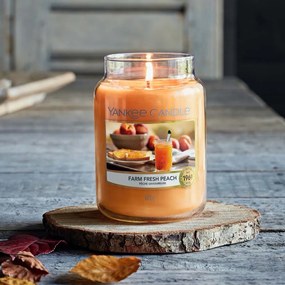 Yankee Candle - vonná svíčka Farm Fresh Peach (Čerstvá farmářská broskev) 623g