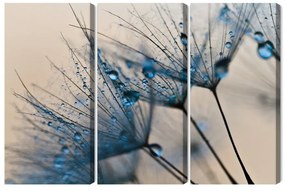 Vícedílný obraz Pampelišky S Kapkami Vody V Makro Měřítku Nedostatek Nedostatek Plátno Canvas 180x120