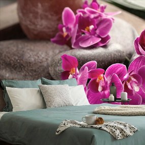 Fototapeta nádherná orchidej a Zen kameny - 225x150 cm