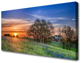 Obraz na plátně Louka Slunce Krajina 100x50 cm