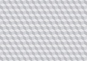 Fototapeta - Mozaika 3D bílá (254x184 cm)