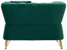 Designové křeslo Washakie zelené