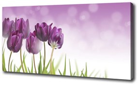 Wallmuralia Foto obraz na plátně Fialové tulipány 100x50