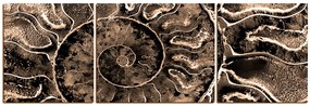 Obraz na plátně - Textura fosílie - panoráma 5174FC (120x40 cm)