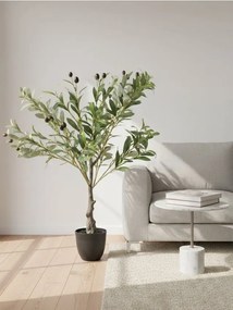 Sinsay - Decorative plant in a pot - zelená
