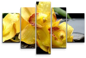 Sablio Obraz - 5-dílný Žluté orchideje - 125x90 cm
